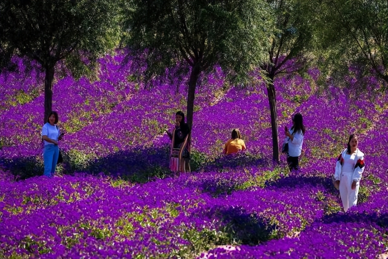 Witness the capital's people-oriented development concept from the past ...