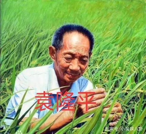 Wen Tiejun's definition of intellectuals is ridiculous - iMedia