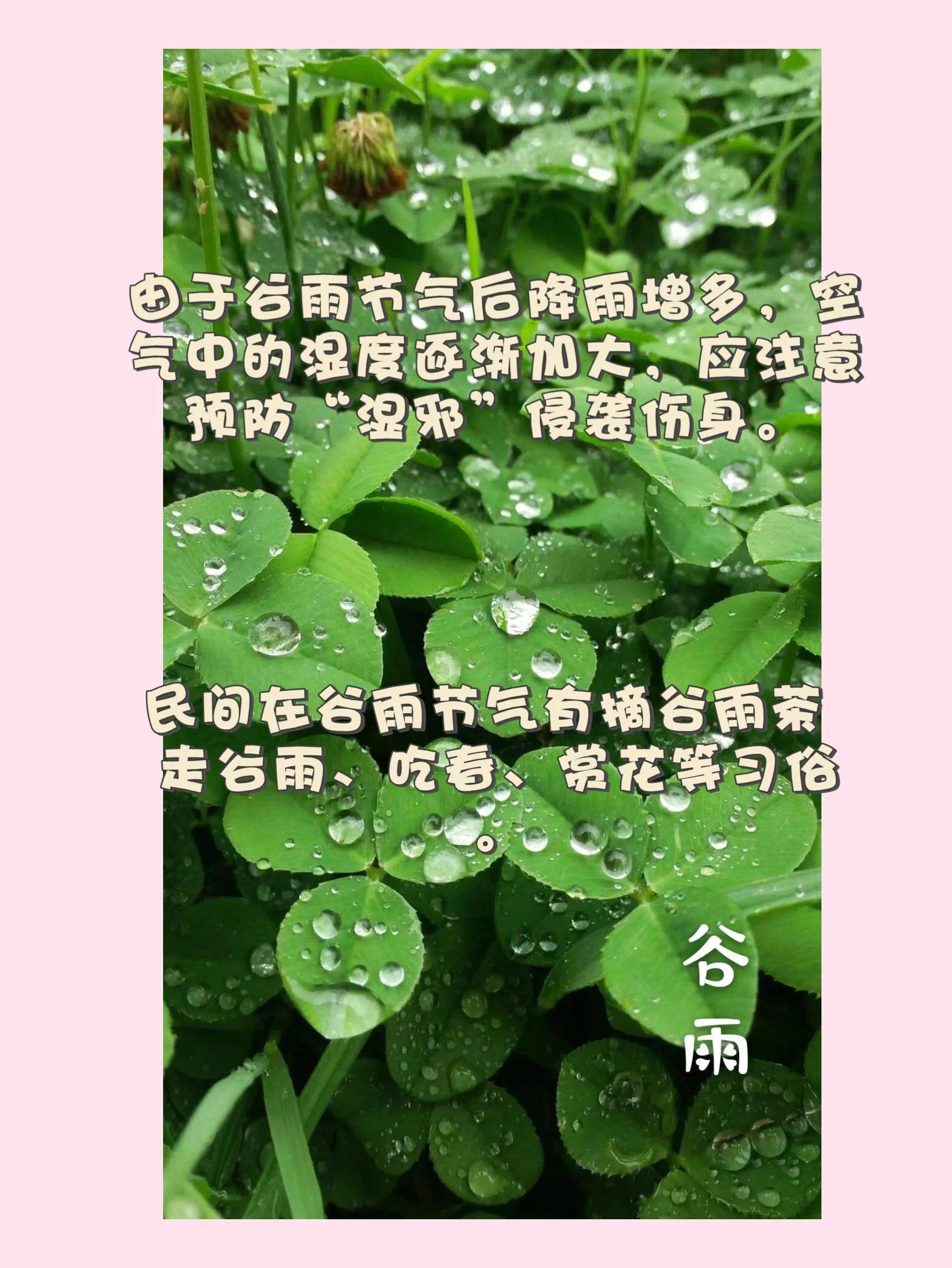 Grain Rain of the Twenty-Four Solar Terms - iNEWS