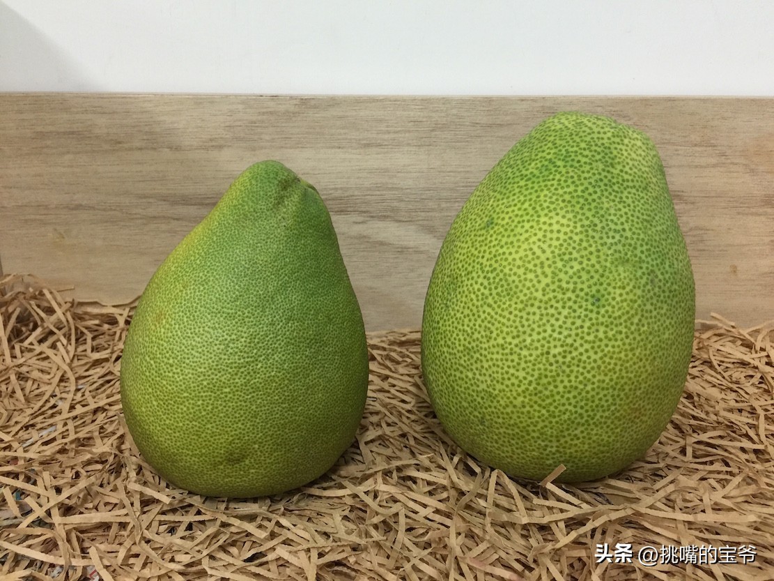 What is the difference between the new tree pomelo and the old tree ...