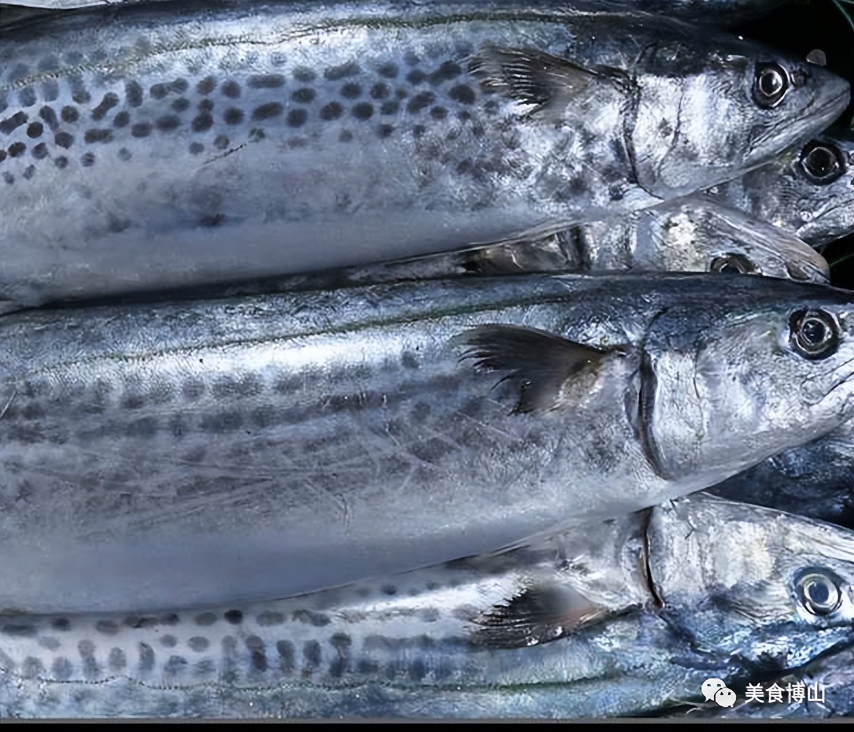 Uncle's crispy pot - iMedia