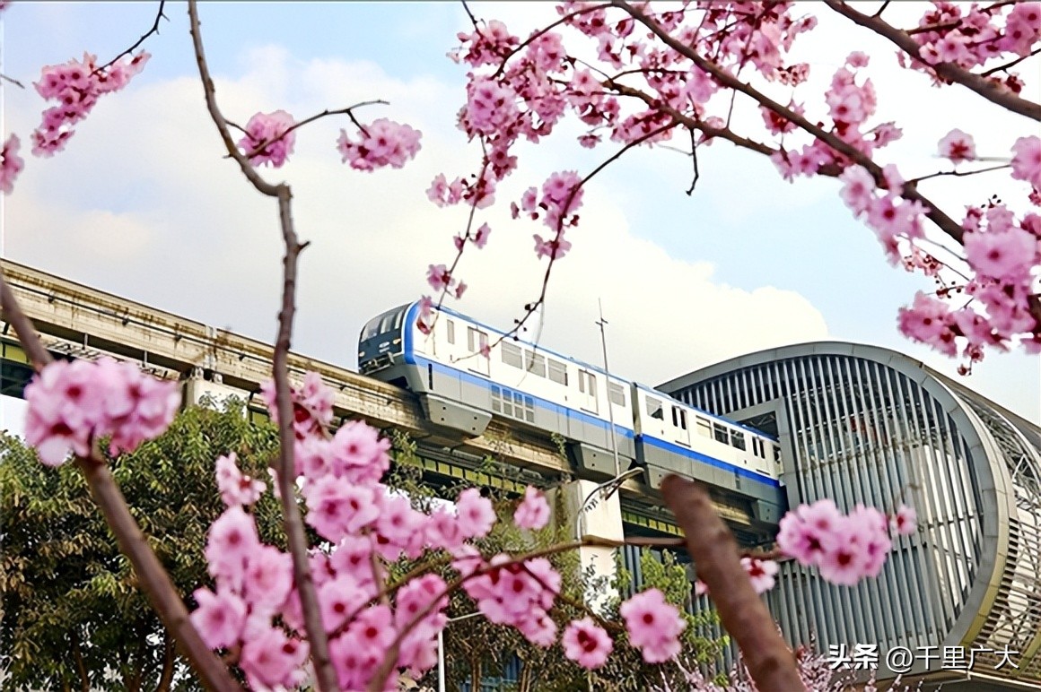 Chongqing Yubei meets the spring full of flowers - iNEWS