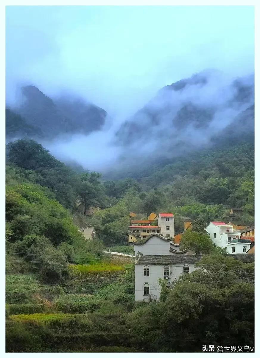 Jia Sheng's Poetry: After the Summer Rain in the Mountain Village - iMedia