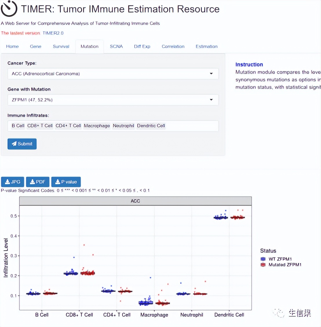 Your tumor decryption expert? TIMER teaches you the analysis of ...