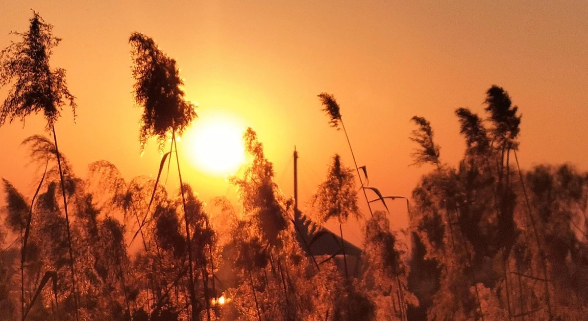 Habit Becomes Nature (Prose) - iNEWS