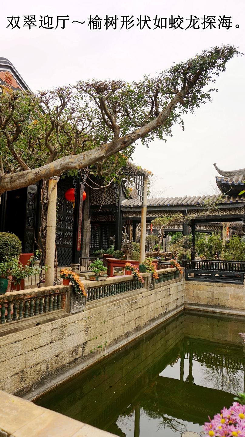 The masterpiece of the Lingnan Man-made Garden ~ Yuyin Shanfang (Panyu) - iNEWS