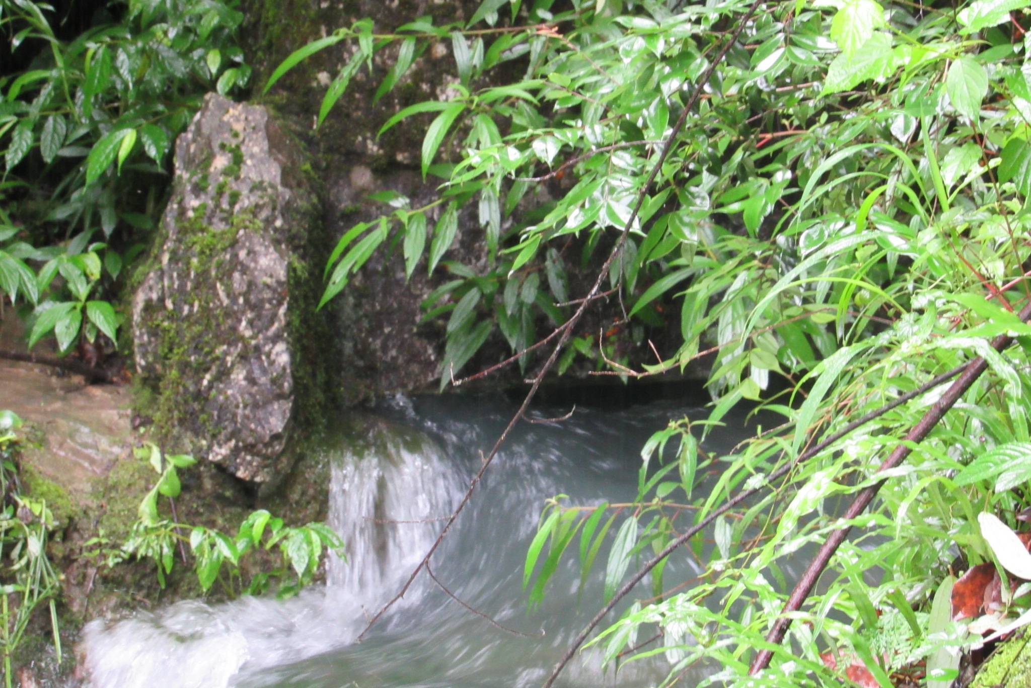 After Tang Jiyao changed his name, the founder of "Jilian Shuang ...