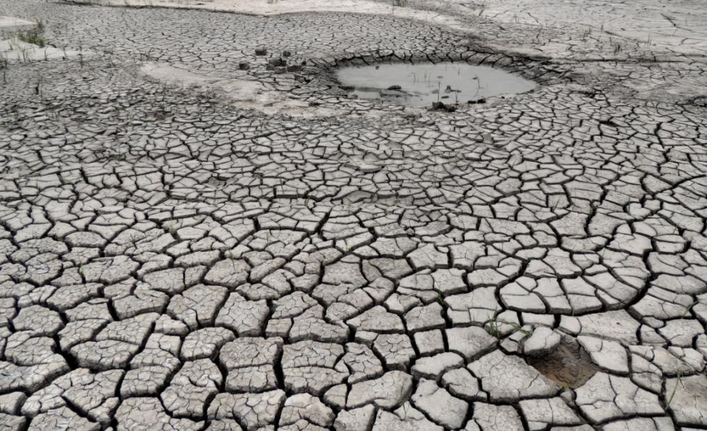 What's up with the cracked tongue?Where is the problem in the body?One ...