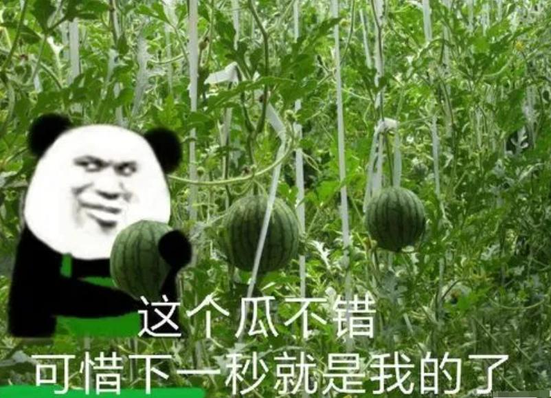 This may be the worst NPC in history!He sells watermelons in ancient ...