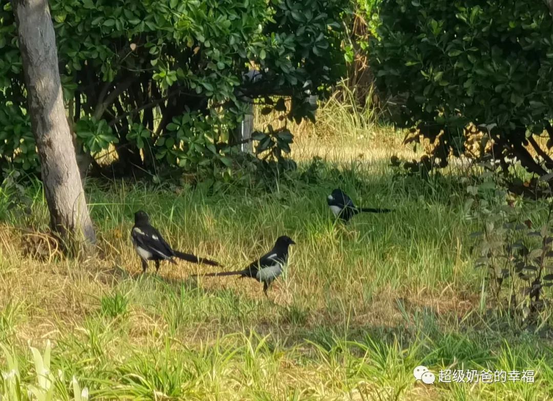 A good fighter, without wisdom and fame, without bravery - iNEWS