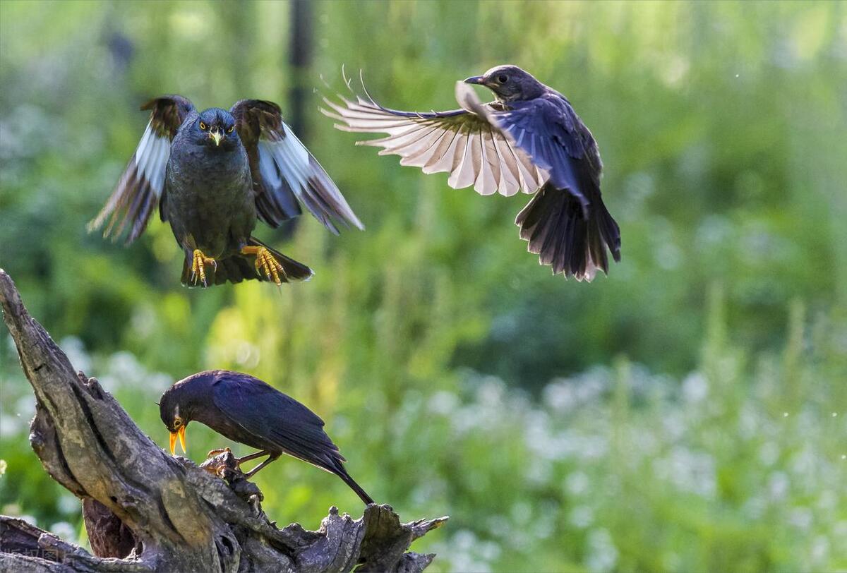 Scientists designed an interesting experiment and found that the ...