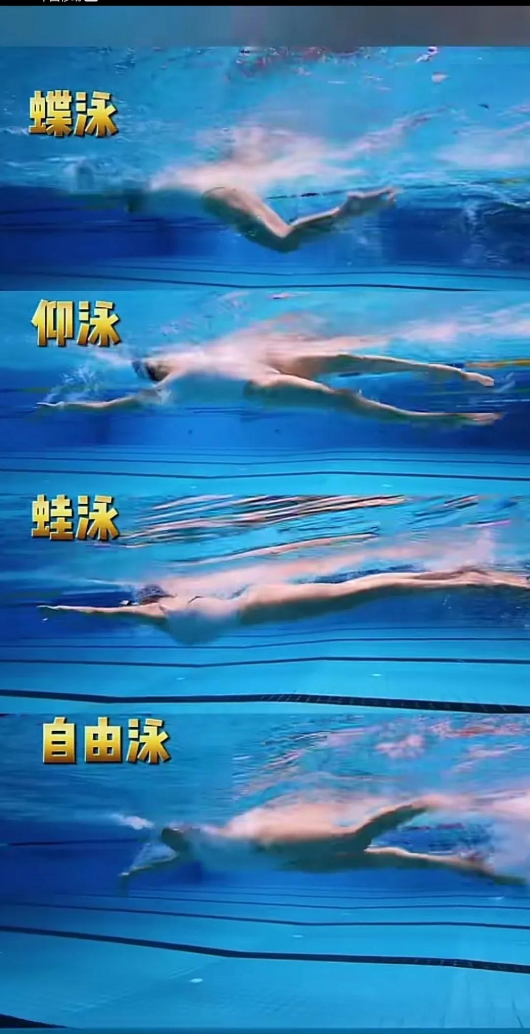 Butterfly queen Zhang Yufei - iNEWS