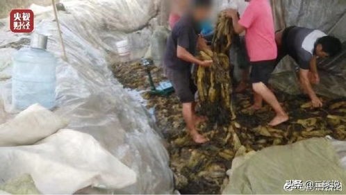 Have you ever eaten instant noodles with sauerkraut from Laotan? Is it ...