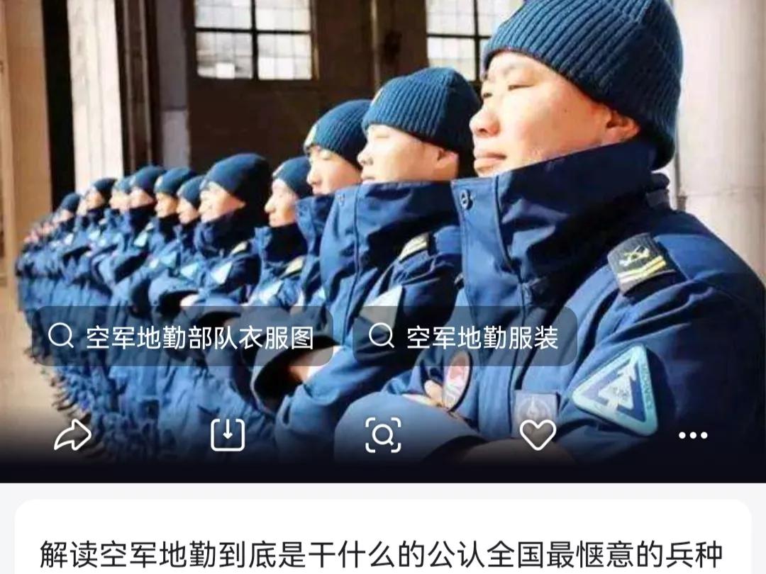 What are the main professional scope and functional responsibilities of ...