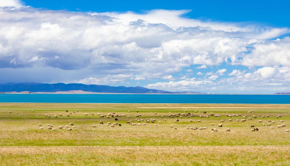 Poems Next Door to Paradise - iMedia