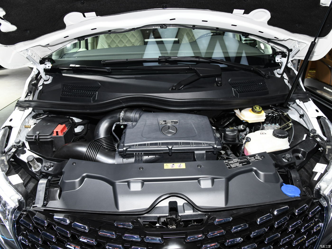 Venus EXPANSE infinity four-seat Mercedes-Benz commercial vehicle ...