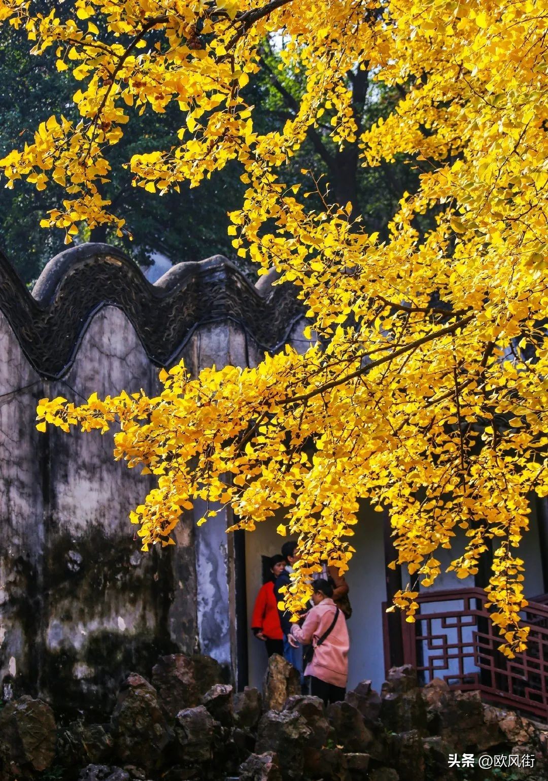 The most beautiful is Yunqi Tower - iMedia