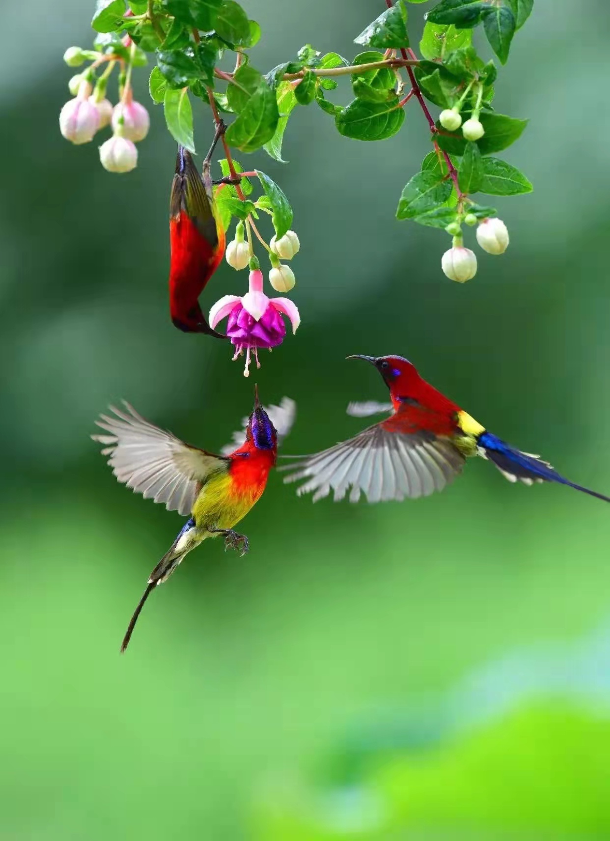 Suddenly like a spring breeze coming overnight - The Seven Secrets of ...