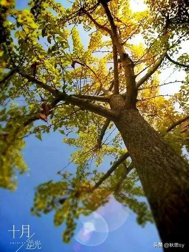 "Original" Seven Laws Qiu Xing (3) - iNEWS