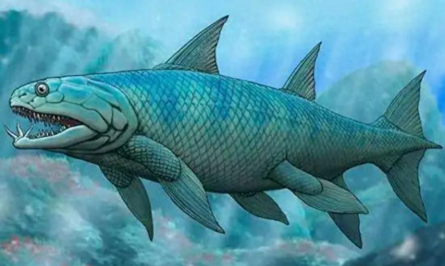 Humans evolved from fish, as evidenced by fossils. How did we evolve ...