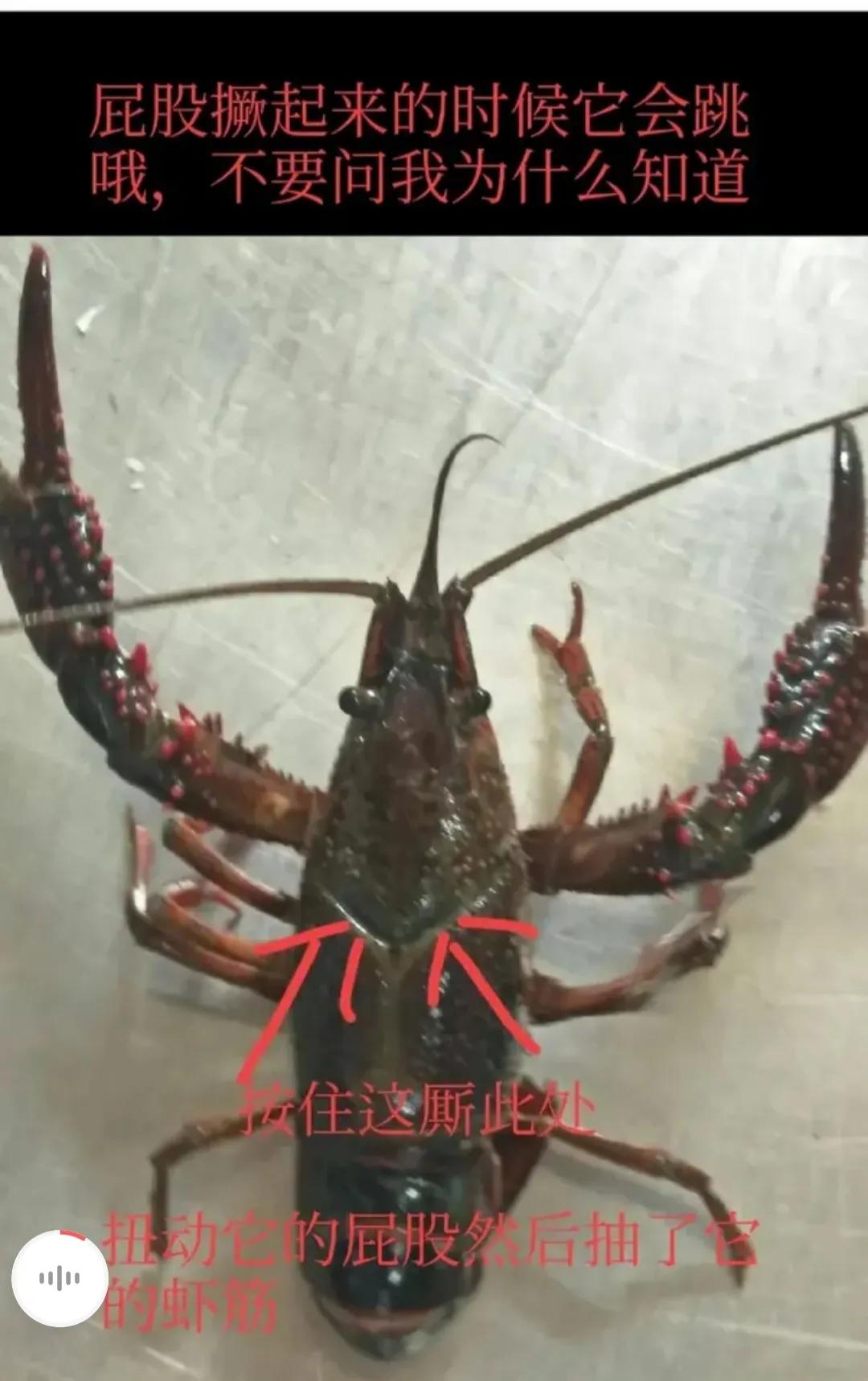 In the scorching summer, how to make delicious and funny crayfish - iNEWS
