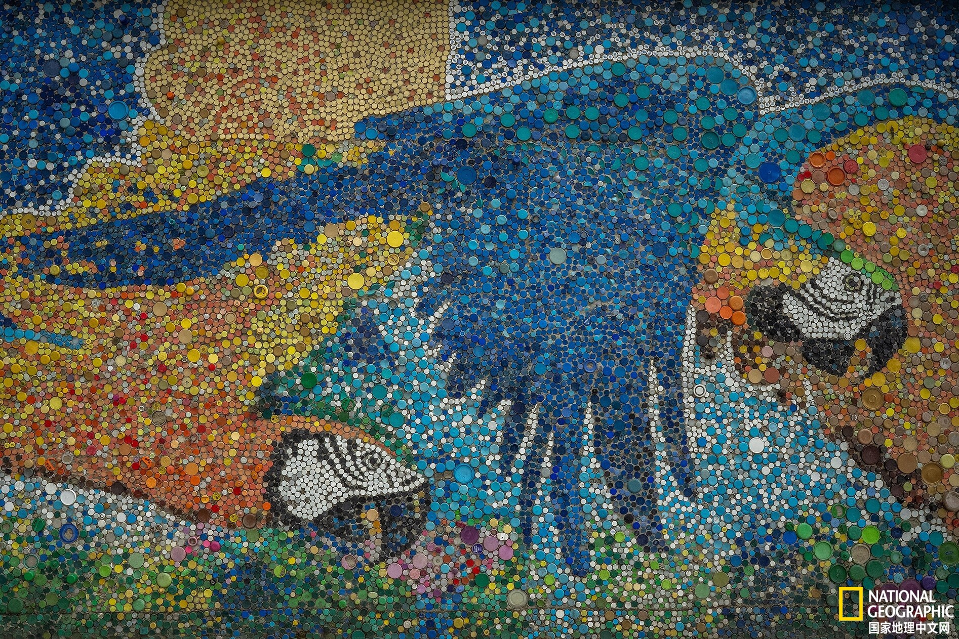 Parrots in Venezuela's capital are "free-range" - iNEWS