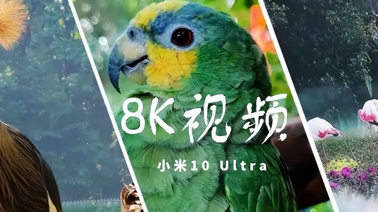 The advanced storage of Snapdragon 8K imaging technology is a respect ...