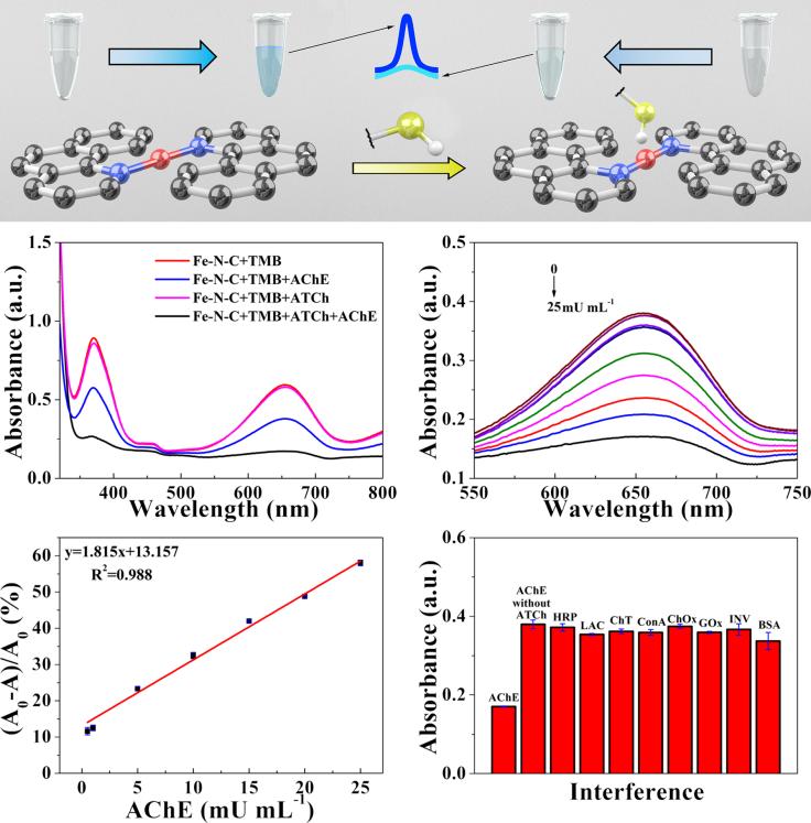 Single Atom Nanozyme Analytical Chemistry - iNEWS