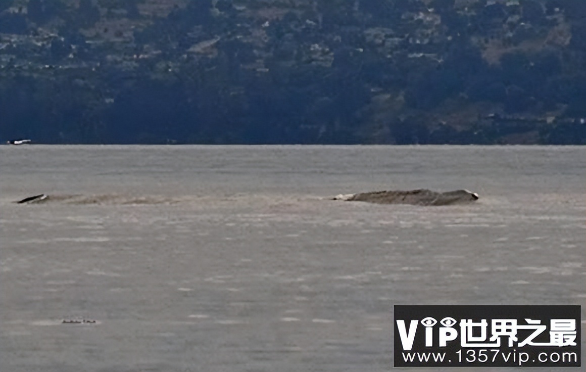 Okanagan Water Monster: The Phantom and Exploration of the Mysterious ...