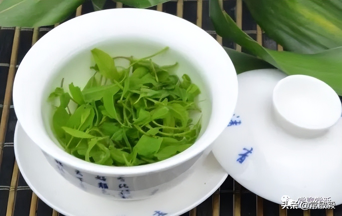 Home reading a famous book and talking about Kudingcha - iNEWS