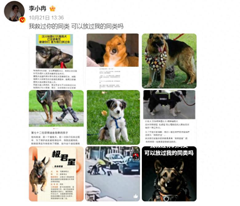 Celebrities support stray dogs, the truth about Yang Di, Liu Yase and ...