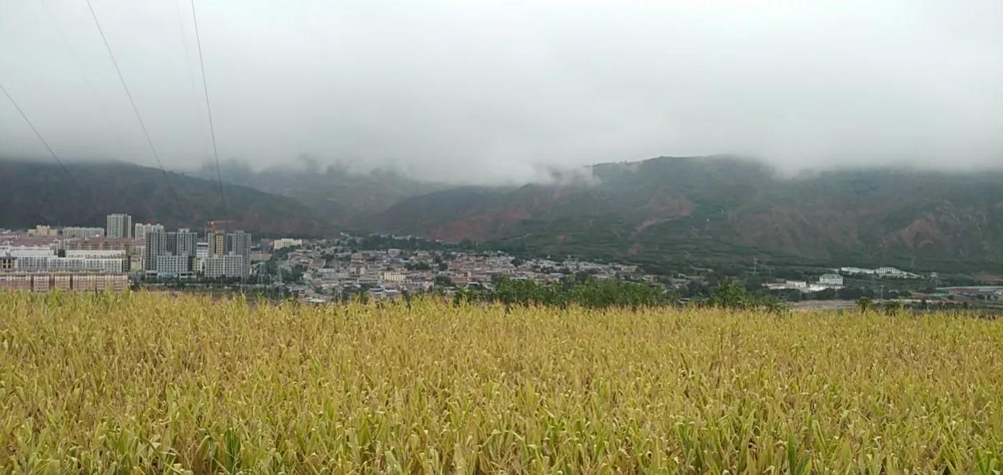 Nanping Xingwang - iNEWS