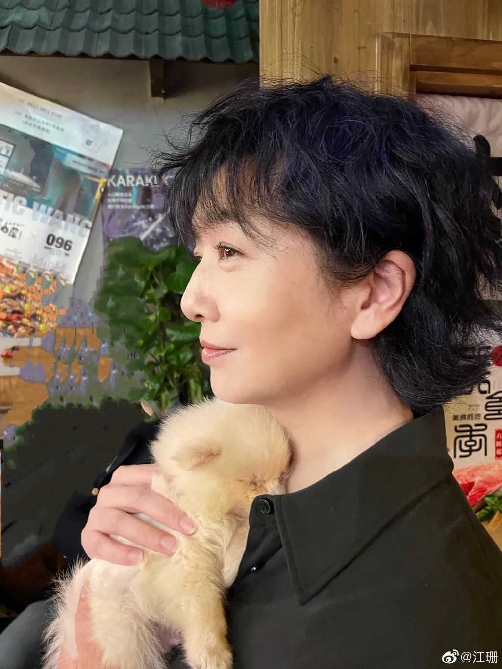 Yu Zheng kneeling and licking Chen Feiyu?Zhao Liying and Feng Shaofeng sparring?Yan Xujia ...