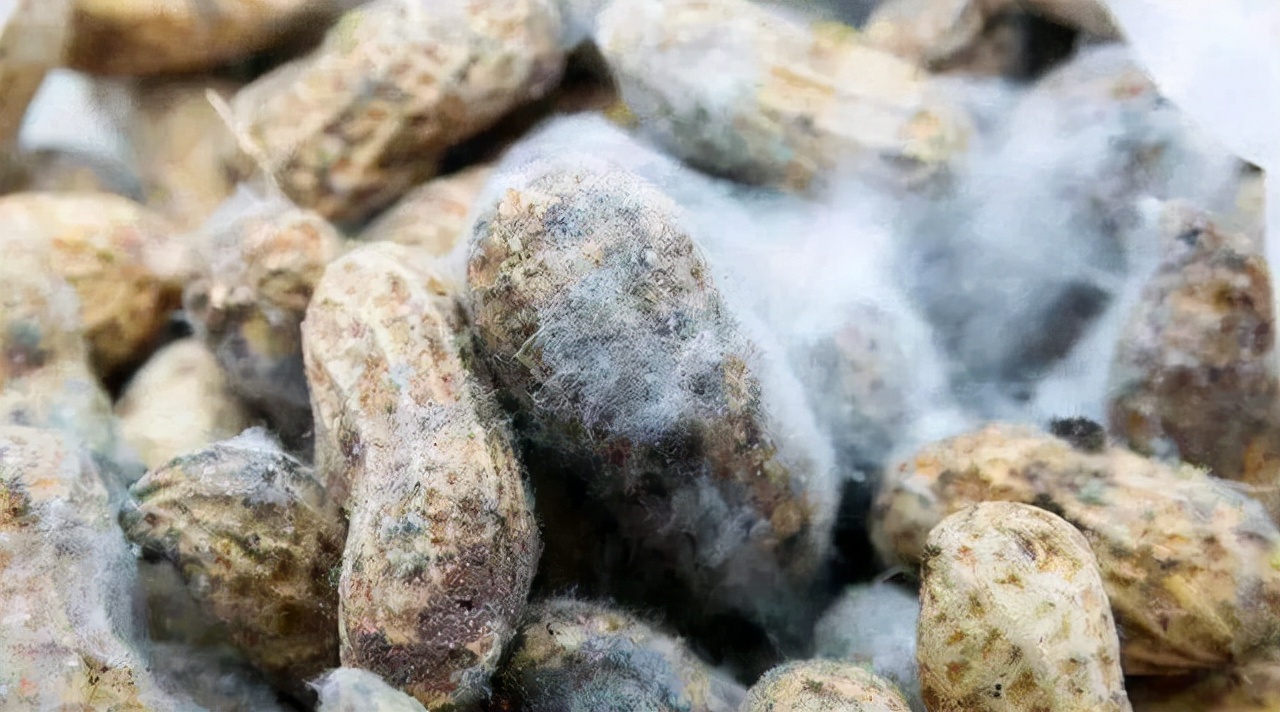 The list of "Class 1 carcinogens" has been announced, and you should ...