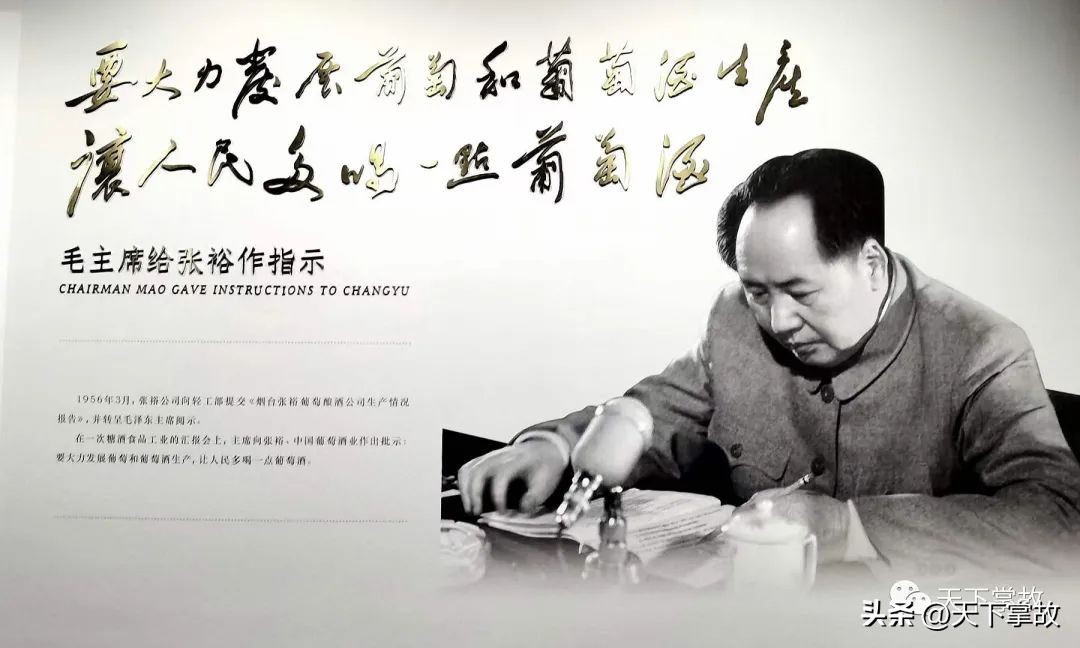 Centennial Changyu - iMedia