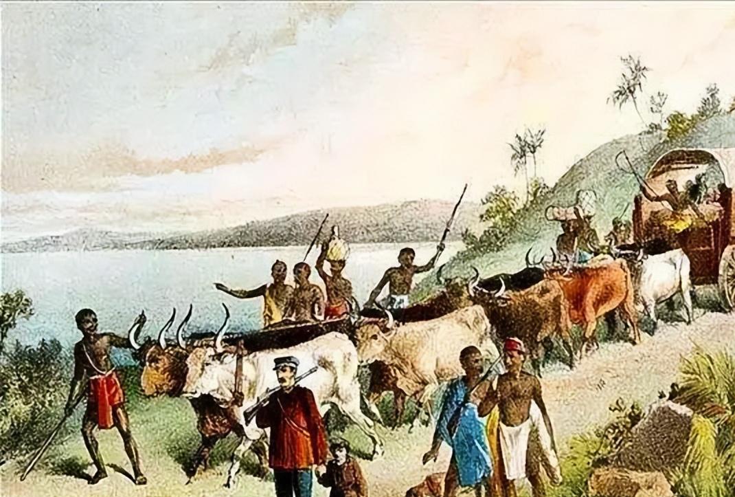 The establishment of European colonies from the perspective of South ...