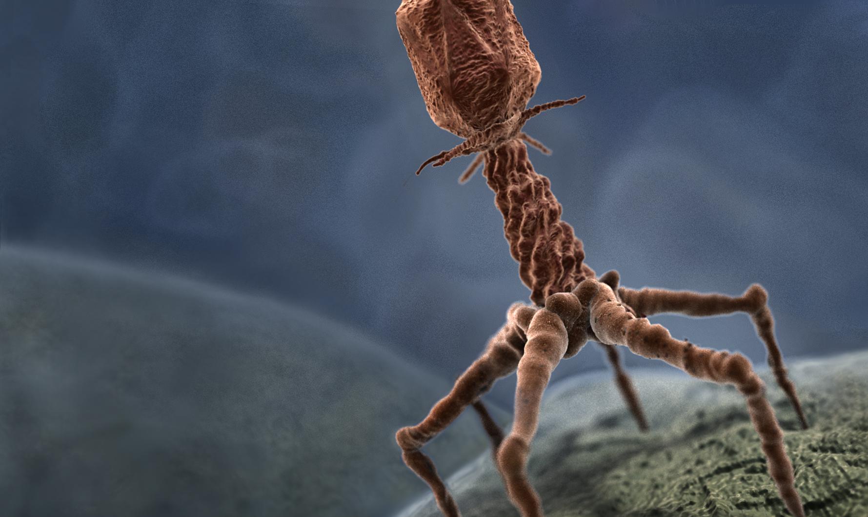 Discovery of new microscopic species expands tree of life - iNEWS