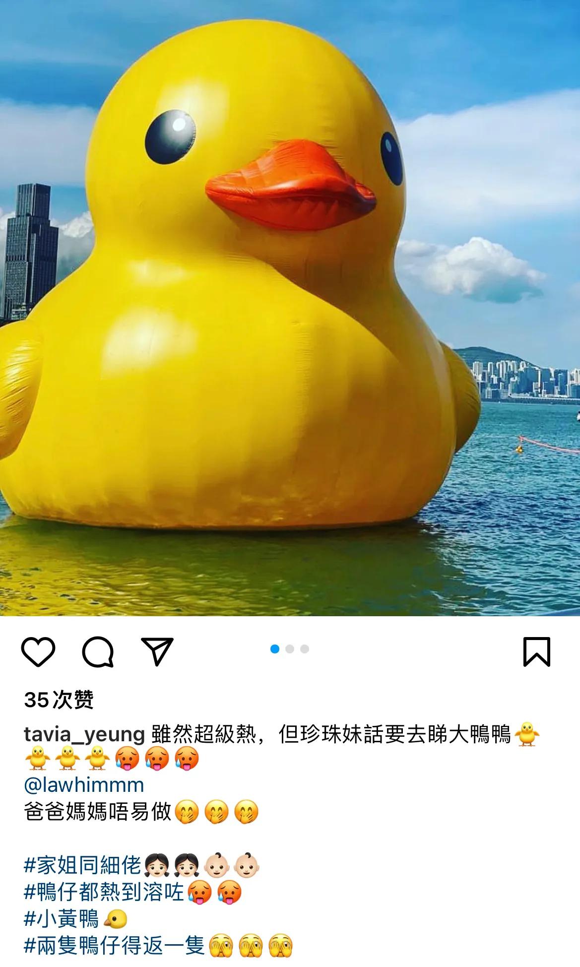 Yang Yi and his wife took their baby to see the little yellow duck ...