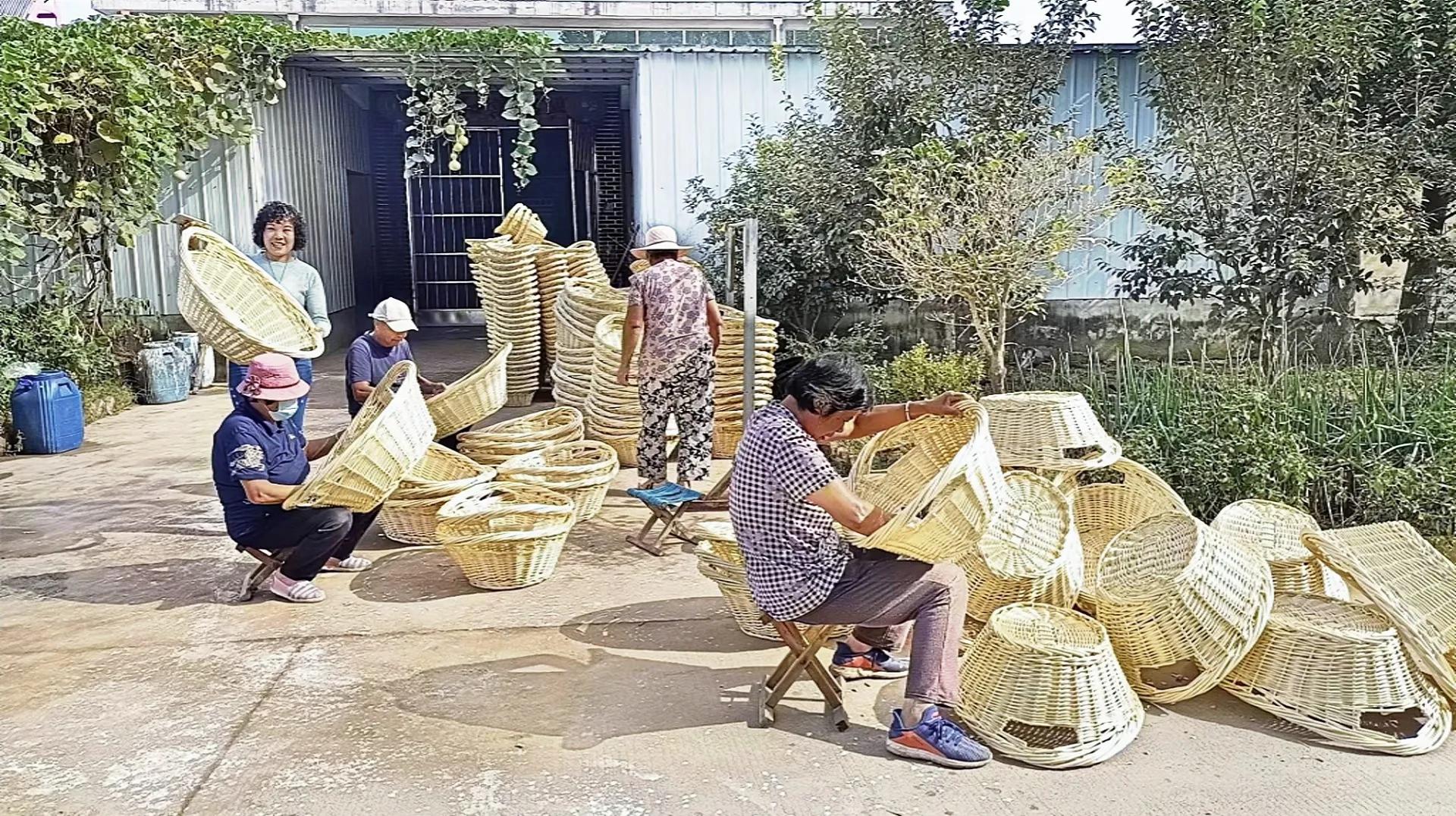 Liubian person Du Peilan visited Liubian handicraft factory - iNEWS