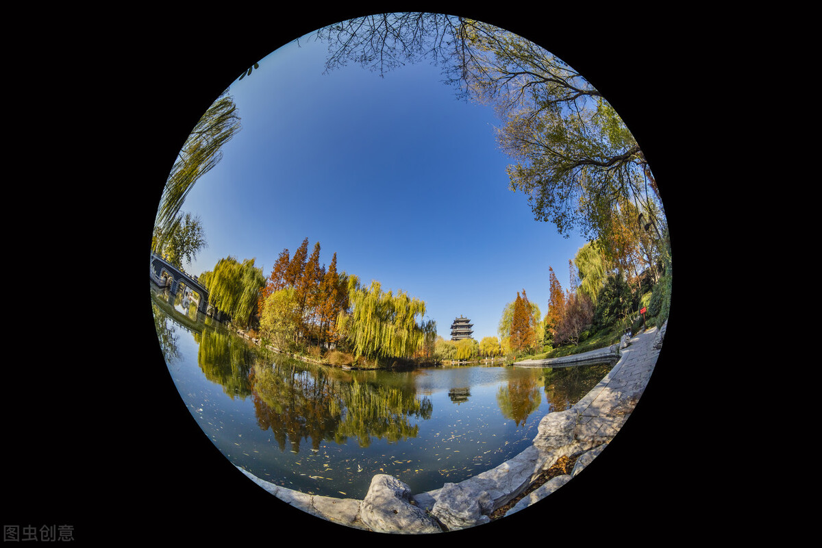 What is the "fisheye" effect?The pros and cons of the fisheye effect ...
