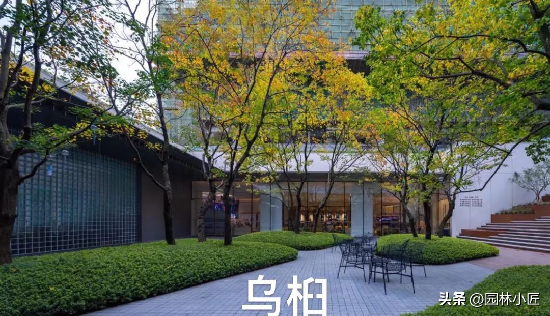 In garden landscape, case sharing of tree array planting effect - iNEWS