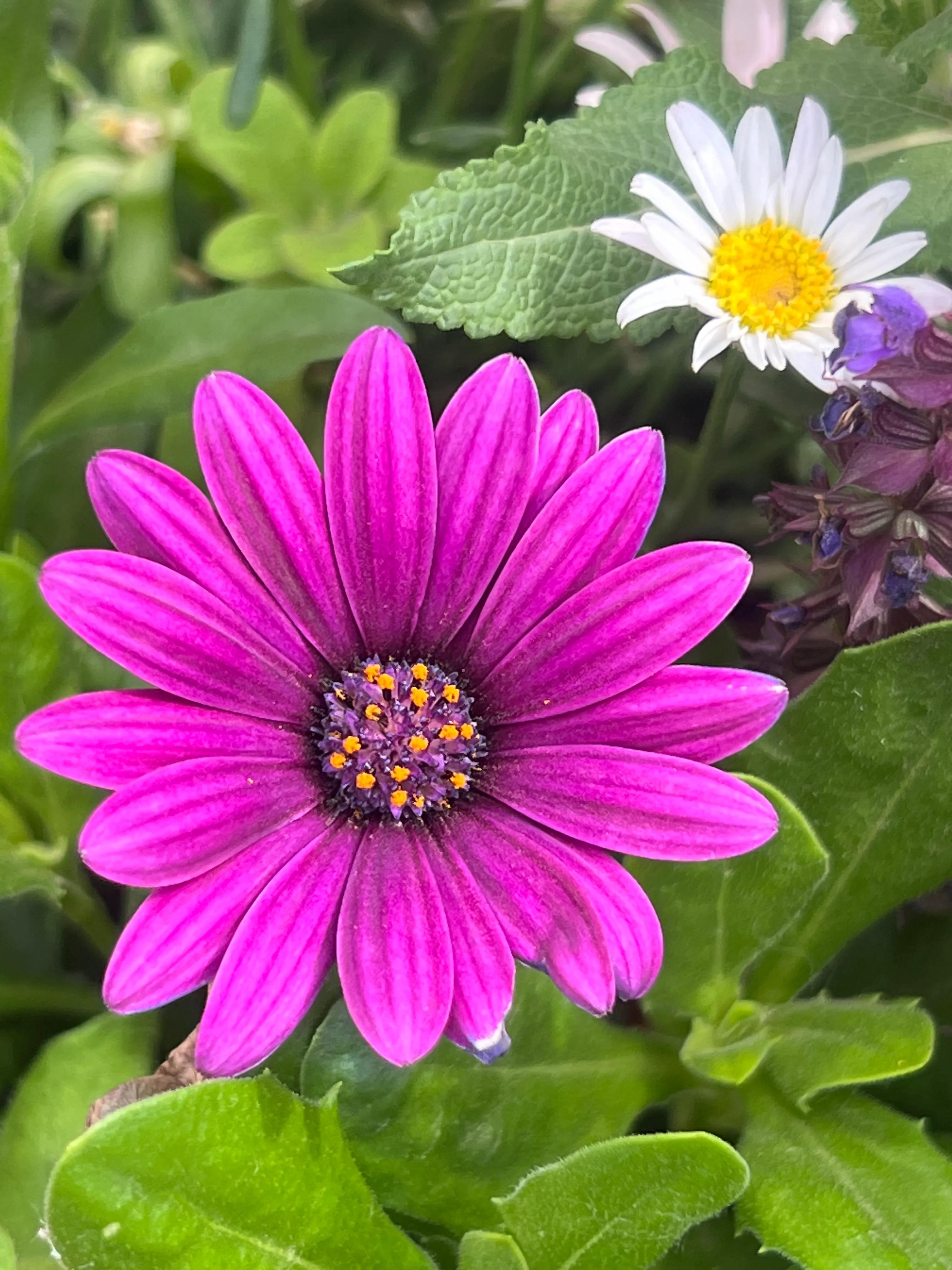 Online dating, be careful. It's hot today, keep running - iMedia