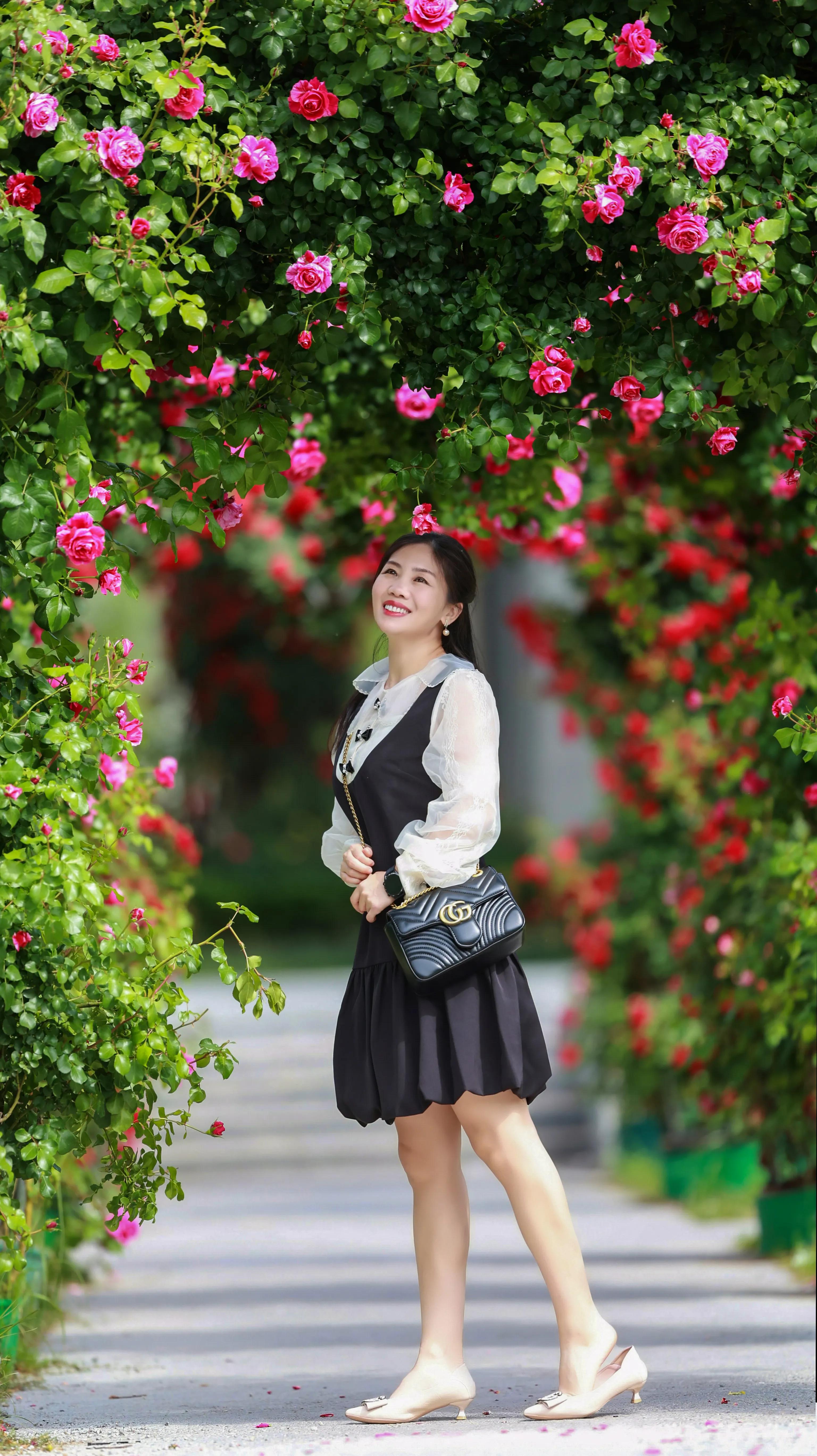 Let's talk about the techniques of shooting roses - iMedia