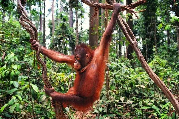 Where do people come from? - iNEWS