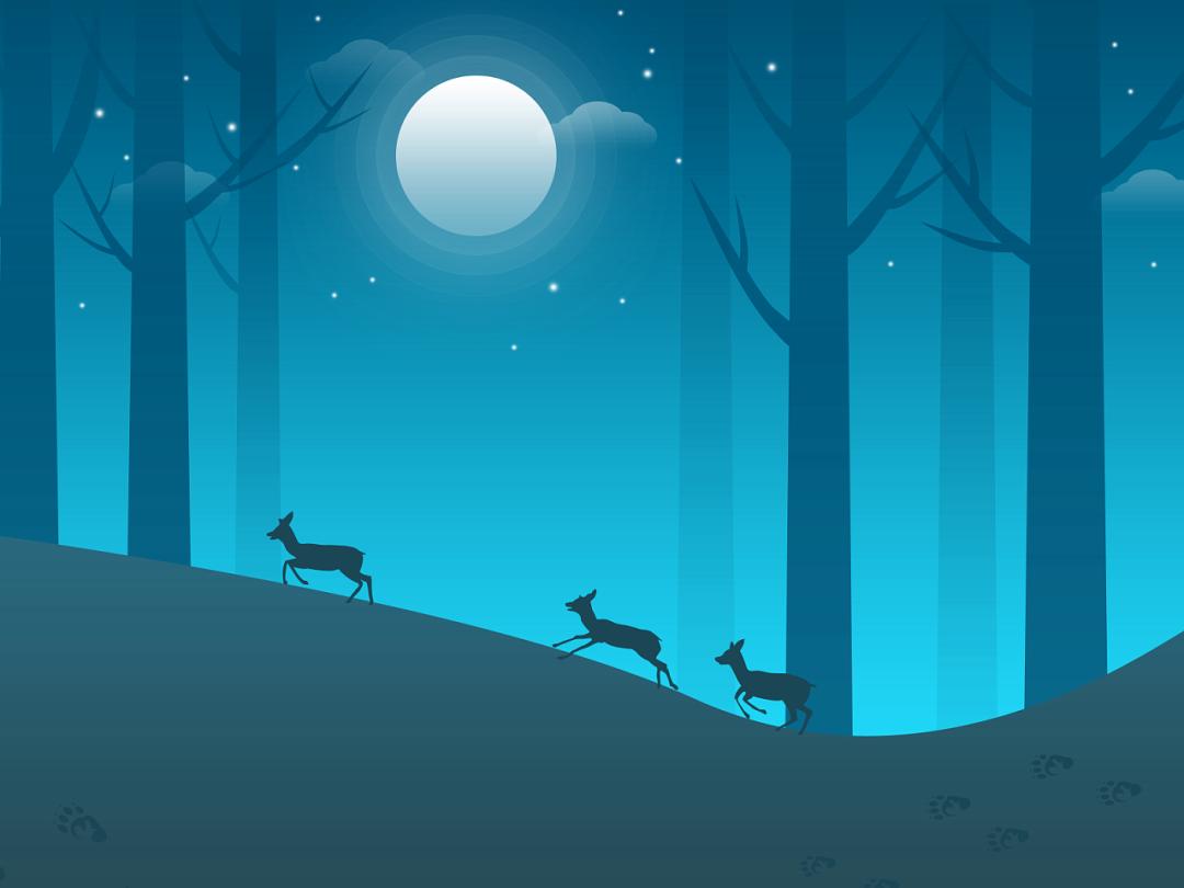 How to flatten the design of art study abroad portfolio? - iNEWS