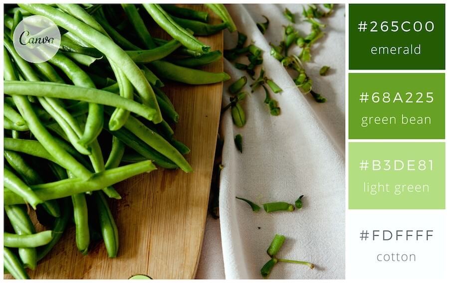 關於配色（七）9 種鐵板單色設計技術（包括 25 個參考調色板） - 頭條匯