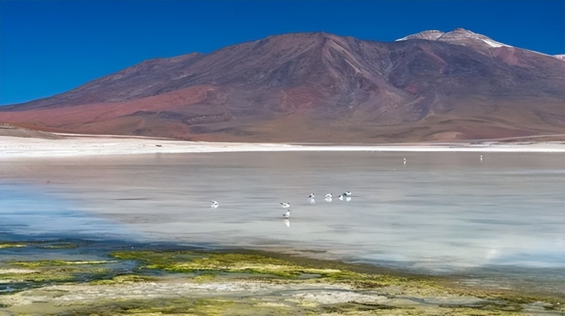 How has the Bolivian political system provided the basis for national ...