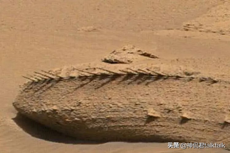 Keel fossils were photographed on Mars? Discovered a million years ago ...