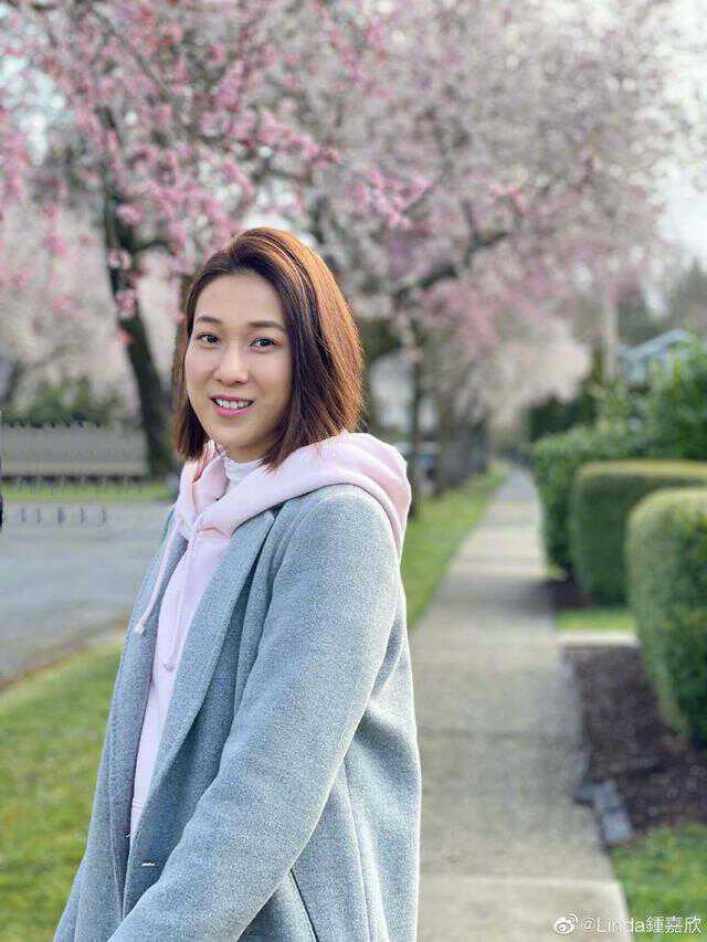 The former head of TVB Hua Dan revealed that it is difficult to find ...