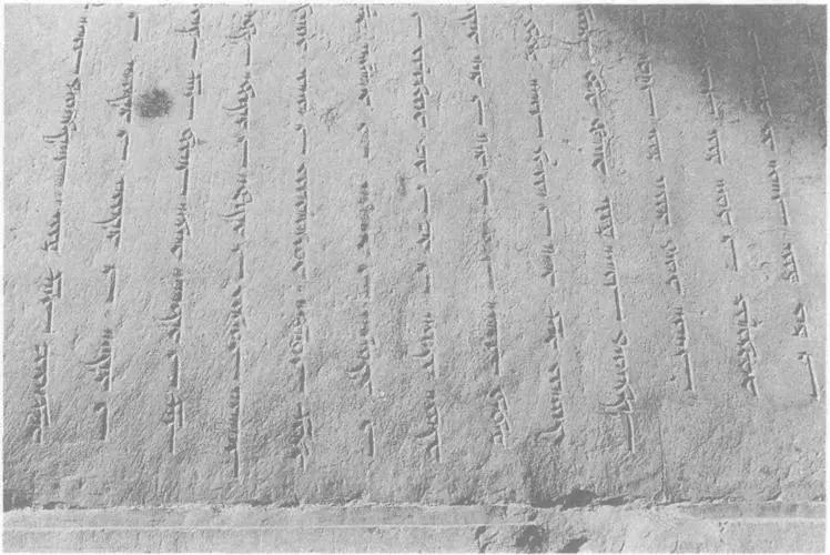 What is the significance of the creation and evolution of Chagatai ...